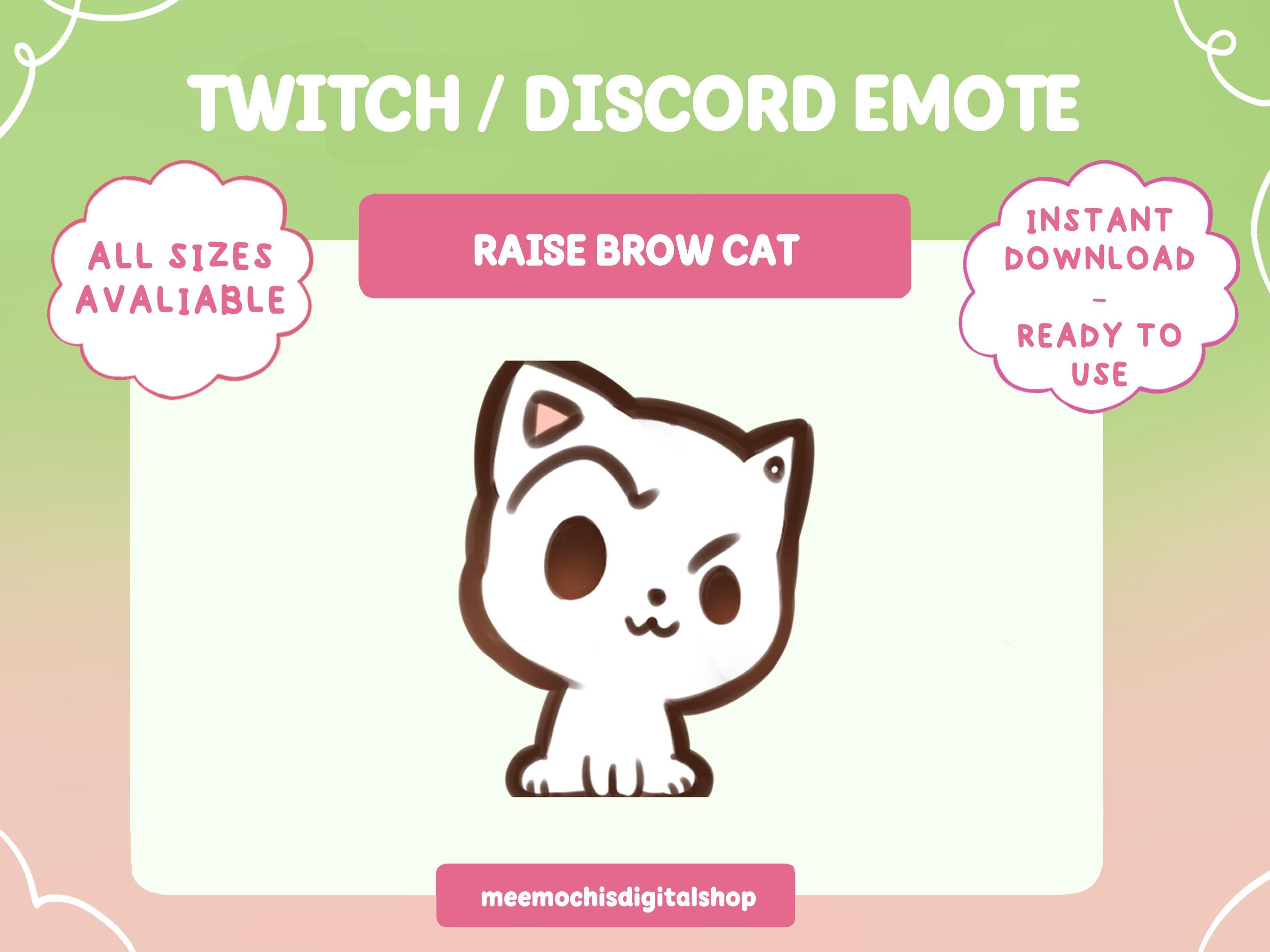 Raise Brow Cat Meme Individual Emote (1) ｜ Twitch Discord Emotes/badges ...