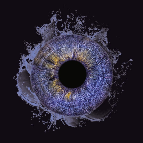 Eye Iris Print - Etsy
