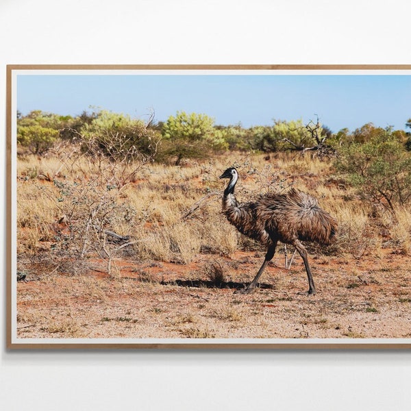 Printable Emu Photo - Etsy