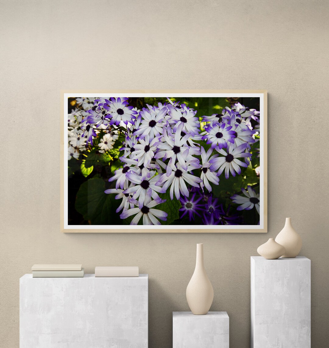 Digital Print Download Purple Senetti Photo Floral Home Decor Wall Art ...