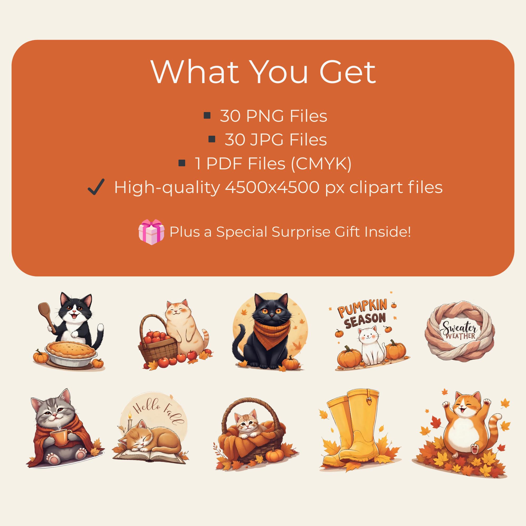 Fall Cat Clipart Set: Autumn Cats, Pumpkins (PNG JPG PDF) - Etsy