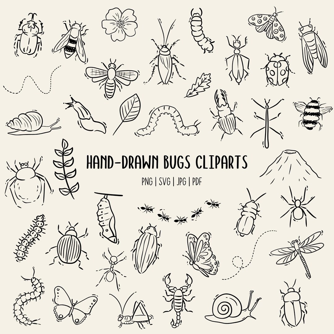 Hand-drawn Bugs Doodle Clipart Set | Line Art Insect Illustrations ...