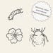 Hand-drawn Bugs Doodle Clipart Set | Line Art Insect Illustrations | PNG SVG PDF Commerical Use ...
