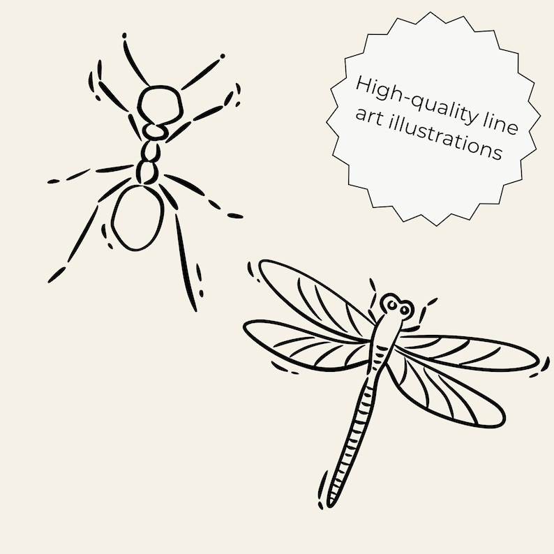 Hand-drawn Bugs Doodle Clipart Set | Line Art Insect Illustrations ...