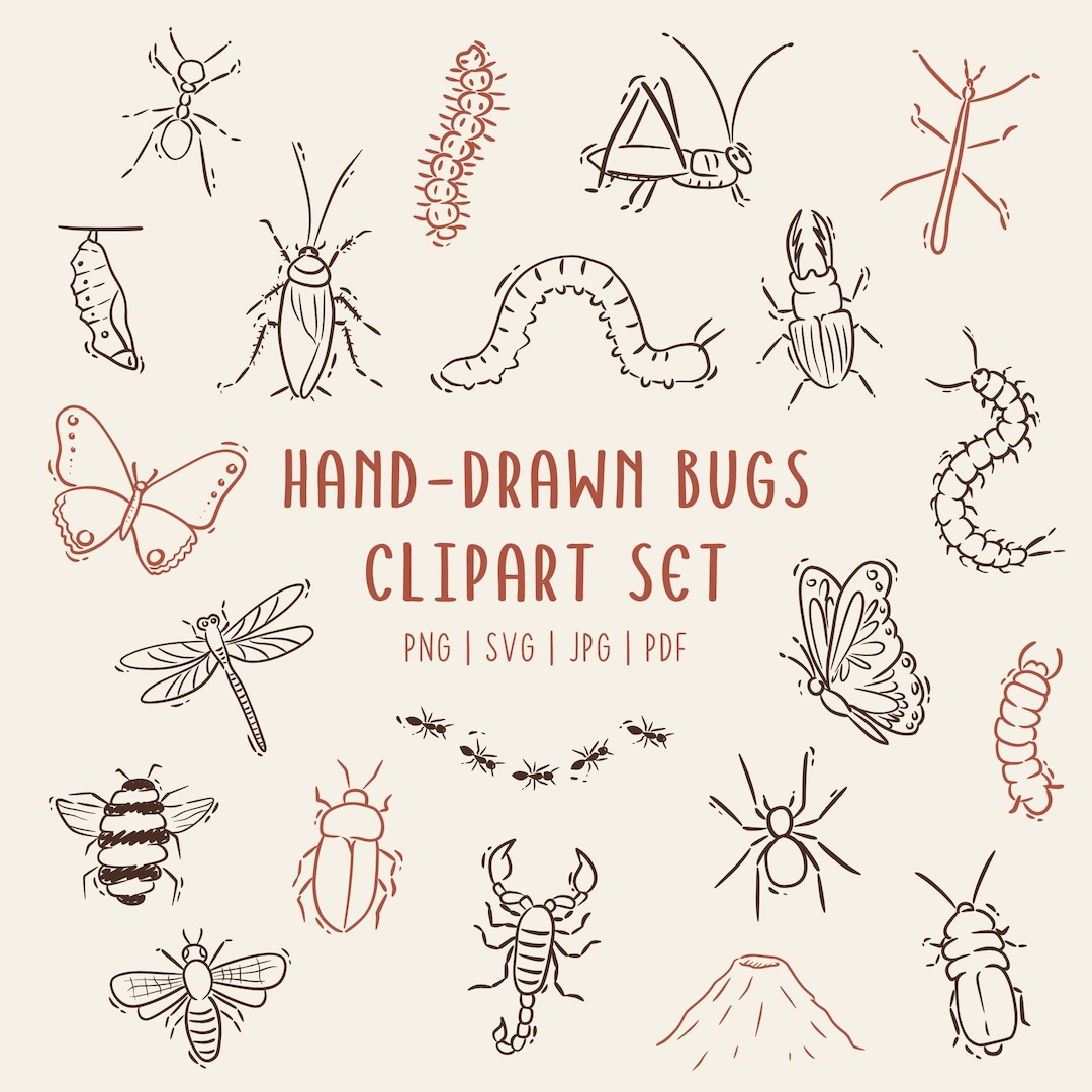 Hand-drawn Bugs Doodle Clipart Set | Line Art Insect Illustrations ...