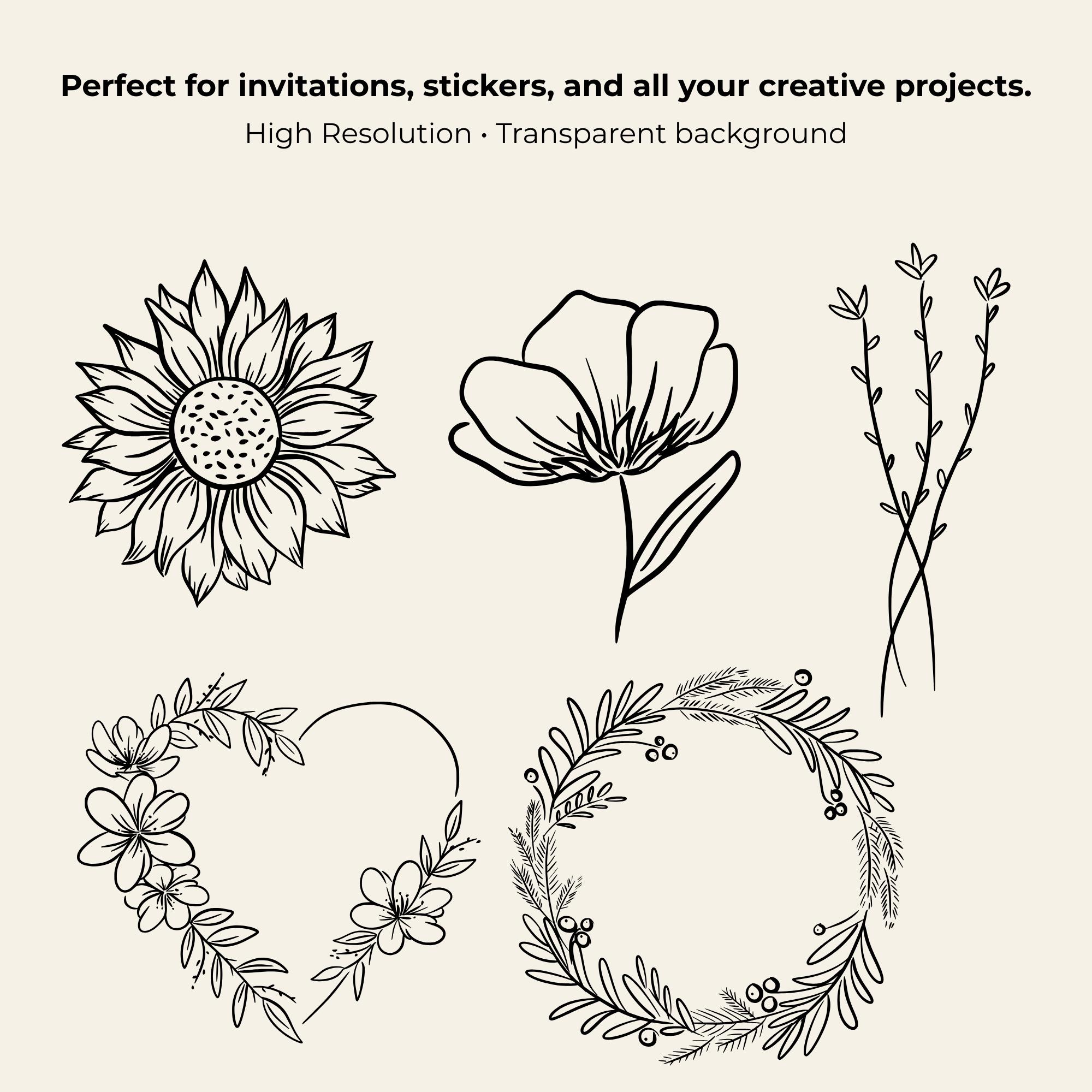 Hand-drawn Floral Doodle Cliparts | 50 Botanical Line Art Flowers | PNG ...