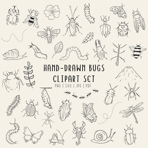 Hand-drawn Bugs Doodle Clipart Set | Line Art Insect Illustrations | PNG SVG PDF Commerical Use ...