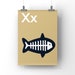 Xx X-ray Tetra Fish Alphabet Digital Download - Etsy