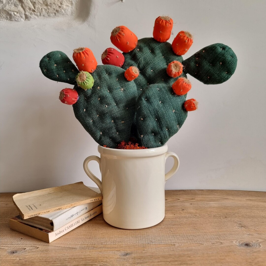 PRICKLY PEAR Plant in Fabric, 3 Blades, 11 Fruits, in Terracotta Pot - Etsy