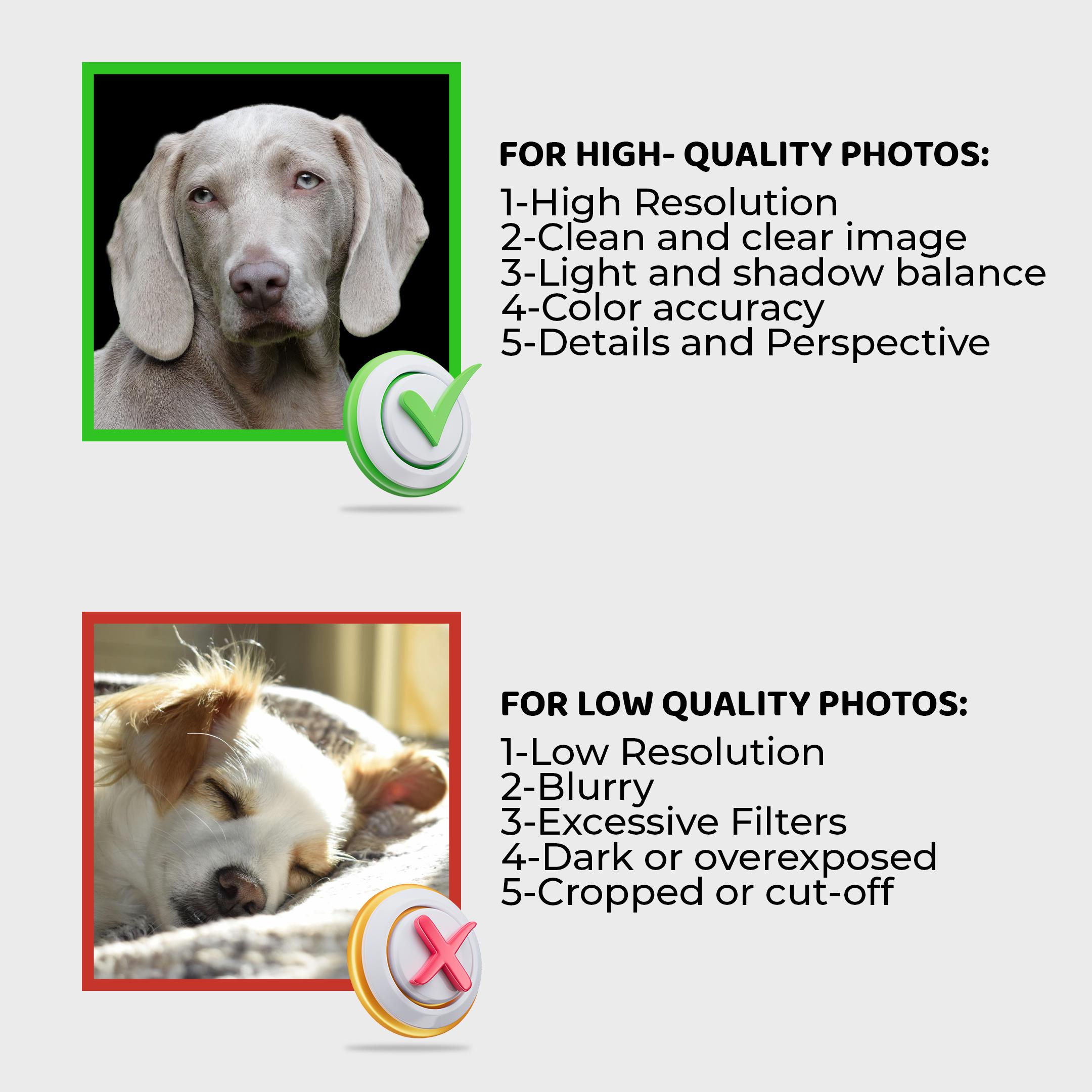 Custom Wanted Poster for Dogs, Personalized Western Portrait for Pets ...