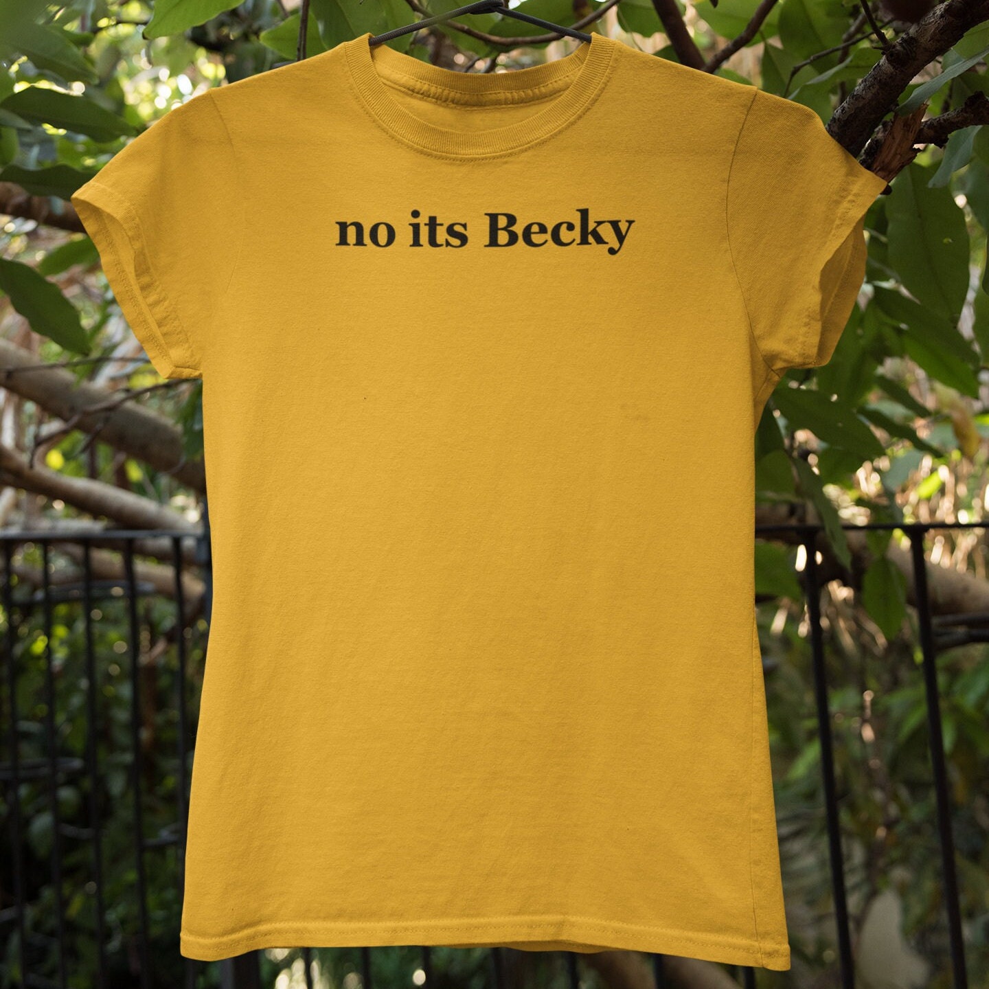 Taylor Swift no It's Becky, Meme Shirt, Taylor Swiftie Merch, Taylor ...