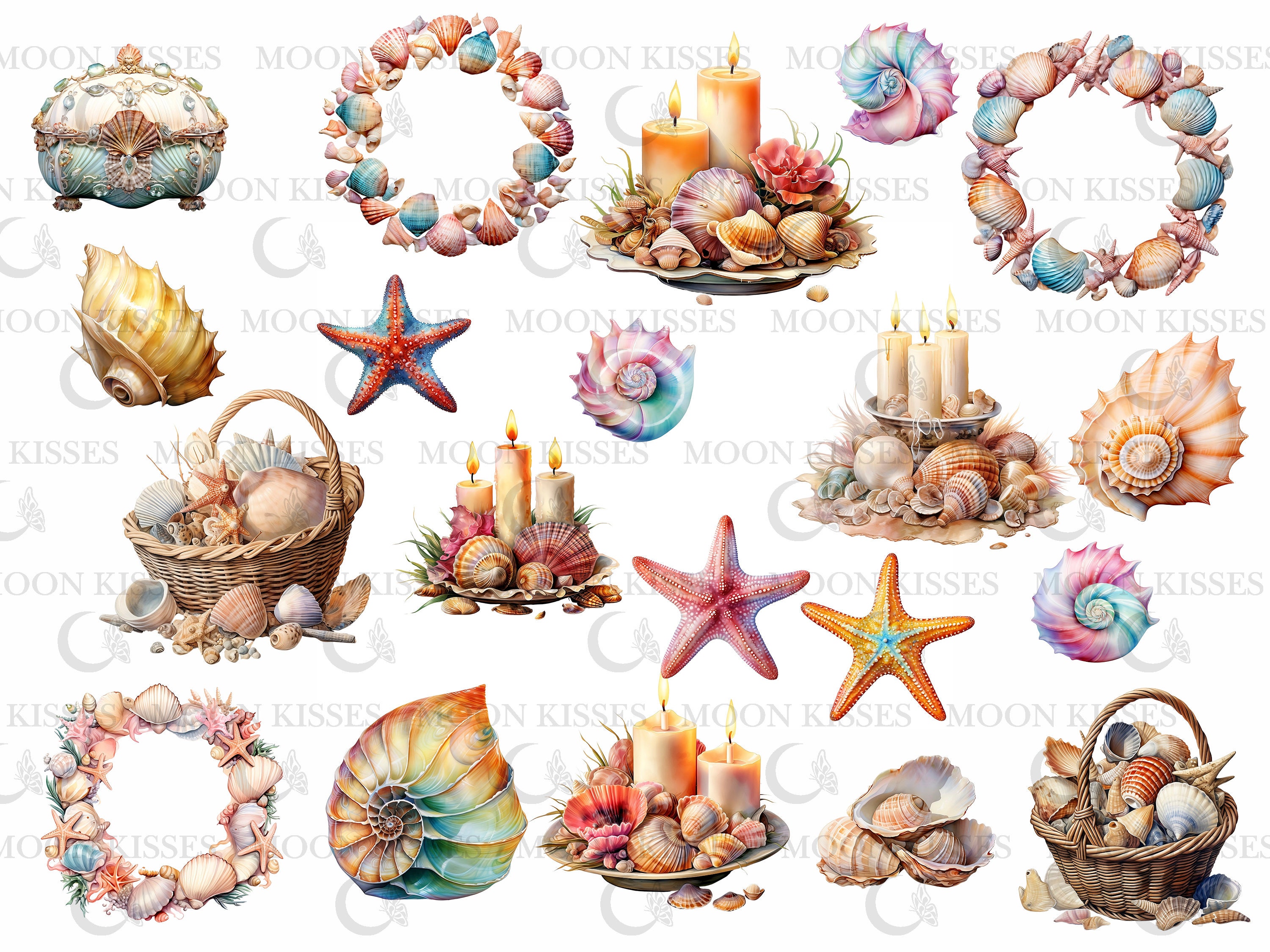Seashells Watercolor Clipart, Seashells PNG, Watercolor Beach Clipart ...