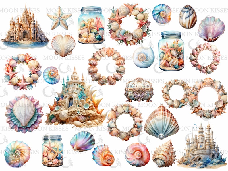 Seashells Watercolor Clipart, Seashells PNG, Watercolor Beach Clipart ...