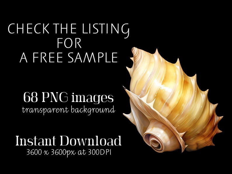 Seashells Watercolor Clipart, Seashells PNG, Watercolor Beach Clipart ...