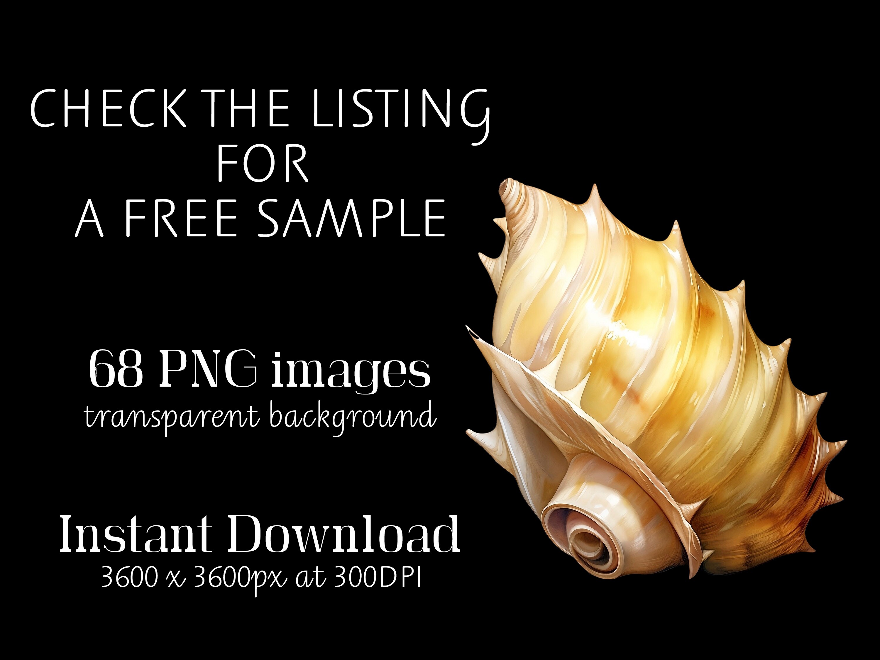 Seashells Watercolor Clipart, Seashells PNG, Watercolor Beach Clipart ...