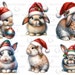 Christmas Bunny Clipart Watercolor Rabbit Illustration Design Cute ...