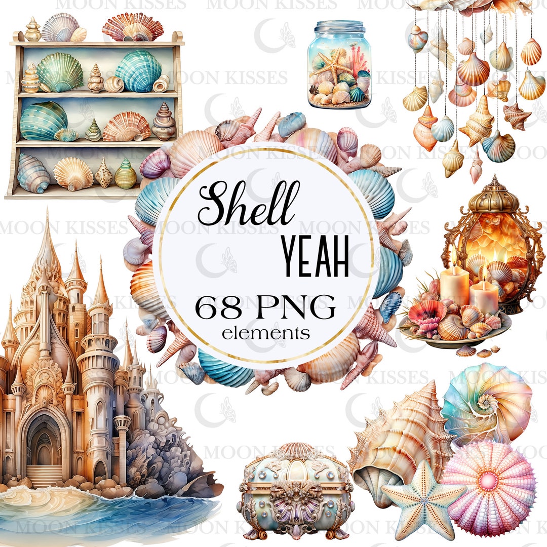 Seashells Watercolor Clipart, Seashells PNG, Watercolor Beach Clipart ...