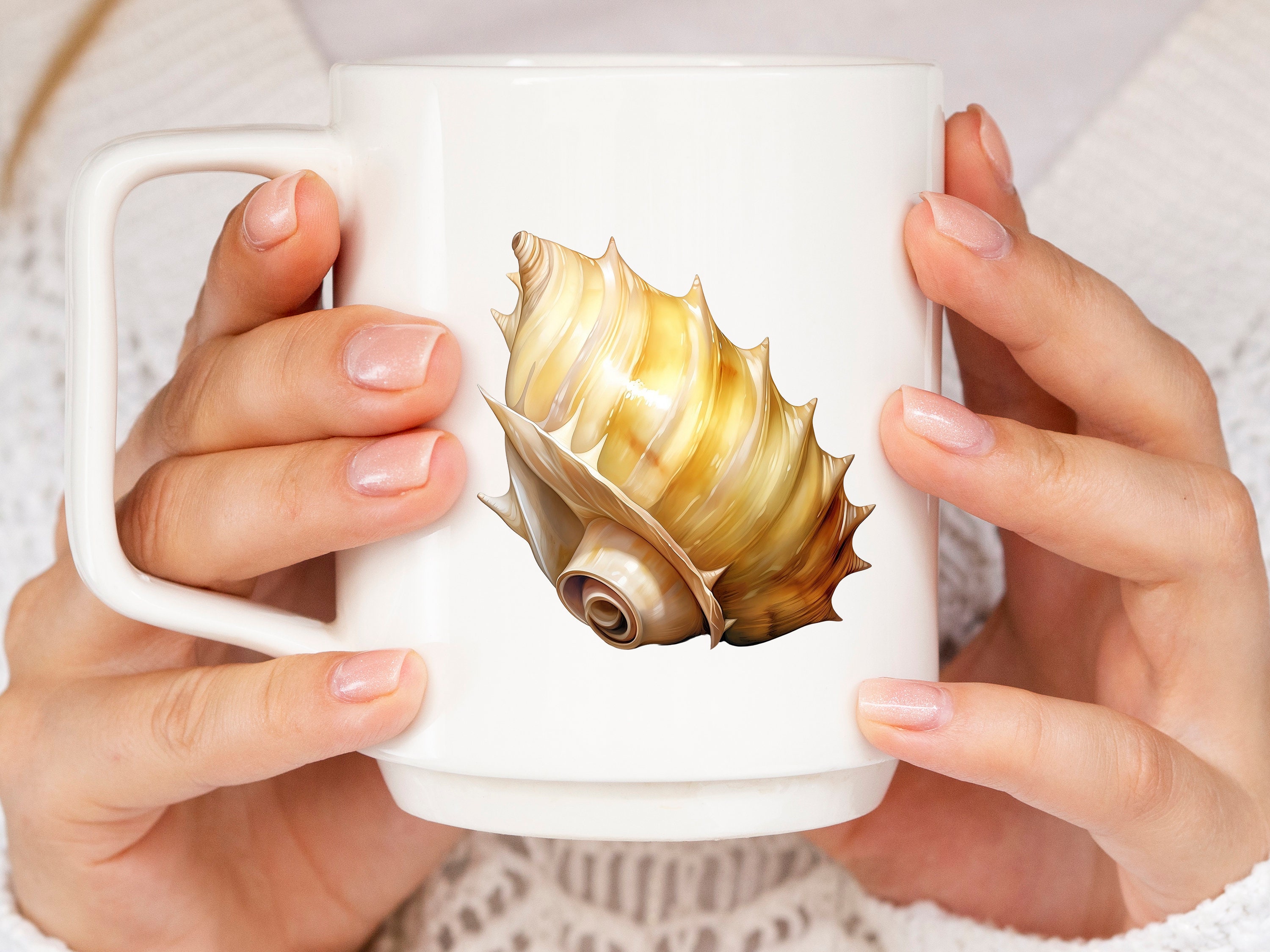 Seashells Watercolor Clipart, Seashells PNG, Watercolor Beach Clipart ...