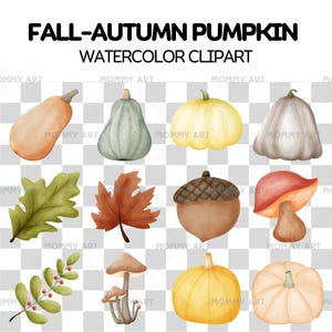 Fall Autumn Pumpkin Clipart Set | Hand-drawn Harvest Graphics | 12 High ...