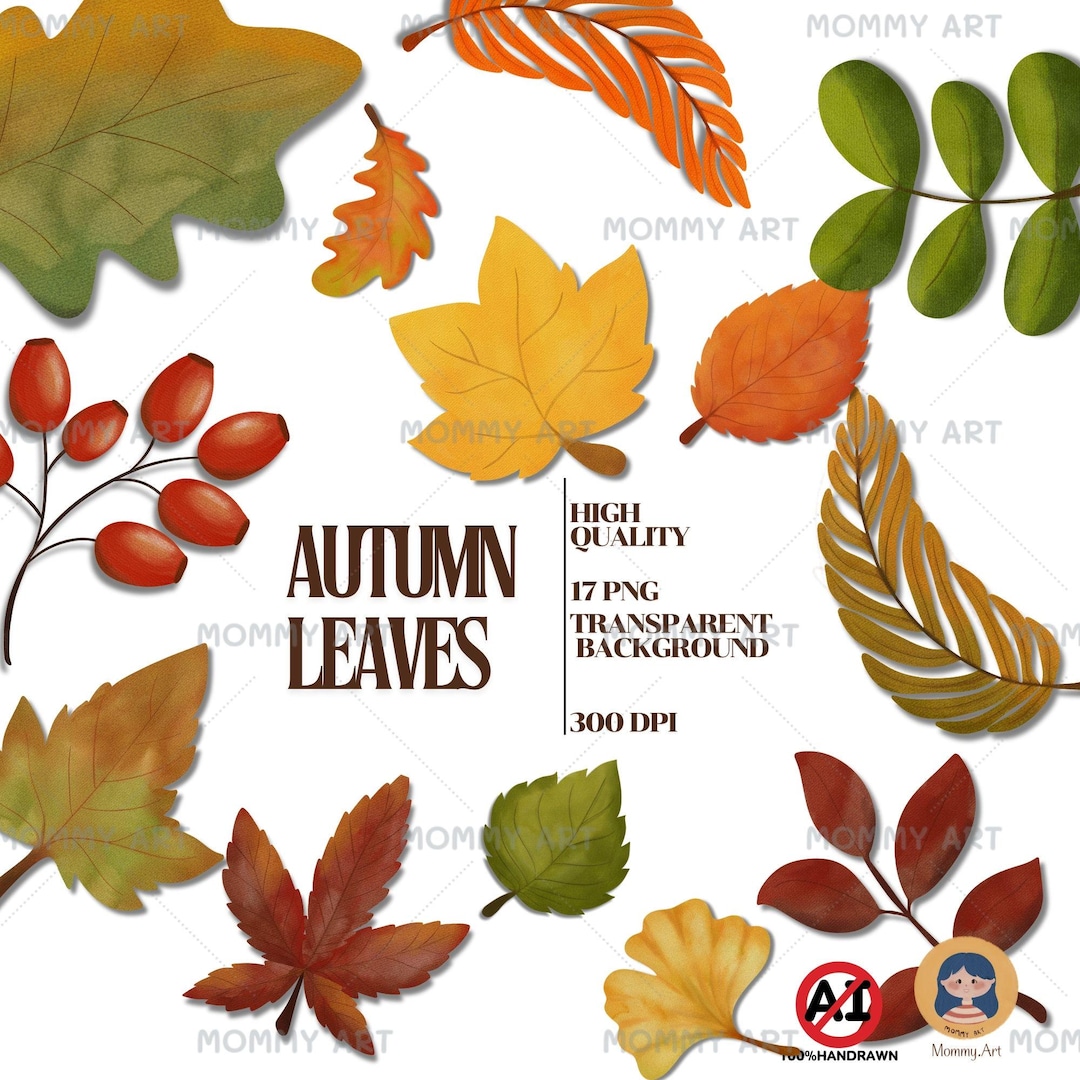 Autumn Leaves Clipart Set | Hand-drawn Fall Foliage Graphics | 17 High ...