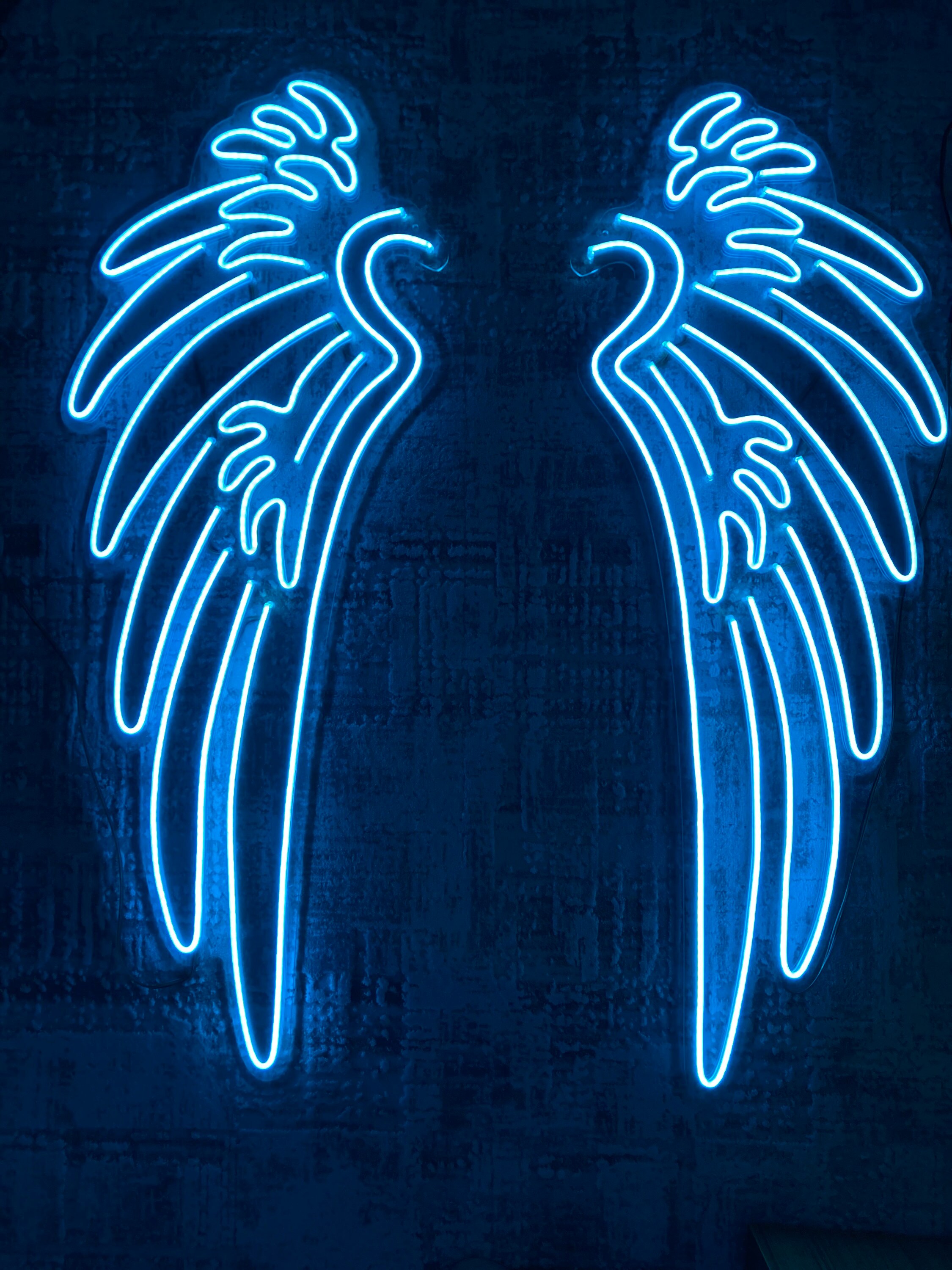 Large Feathered Angel Wing Neon Sign Angel Decor Wing Sign - Etsy