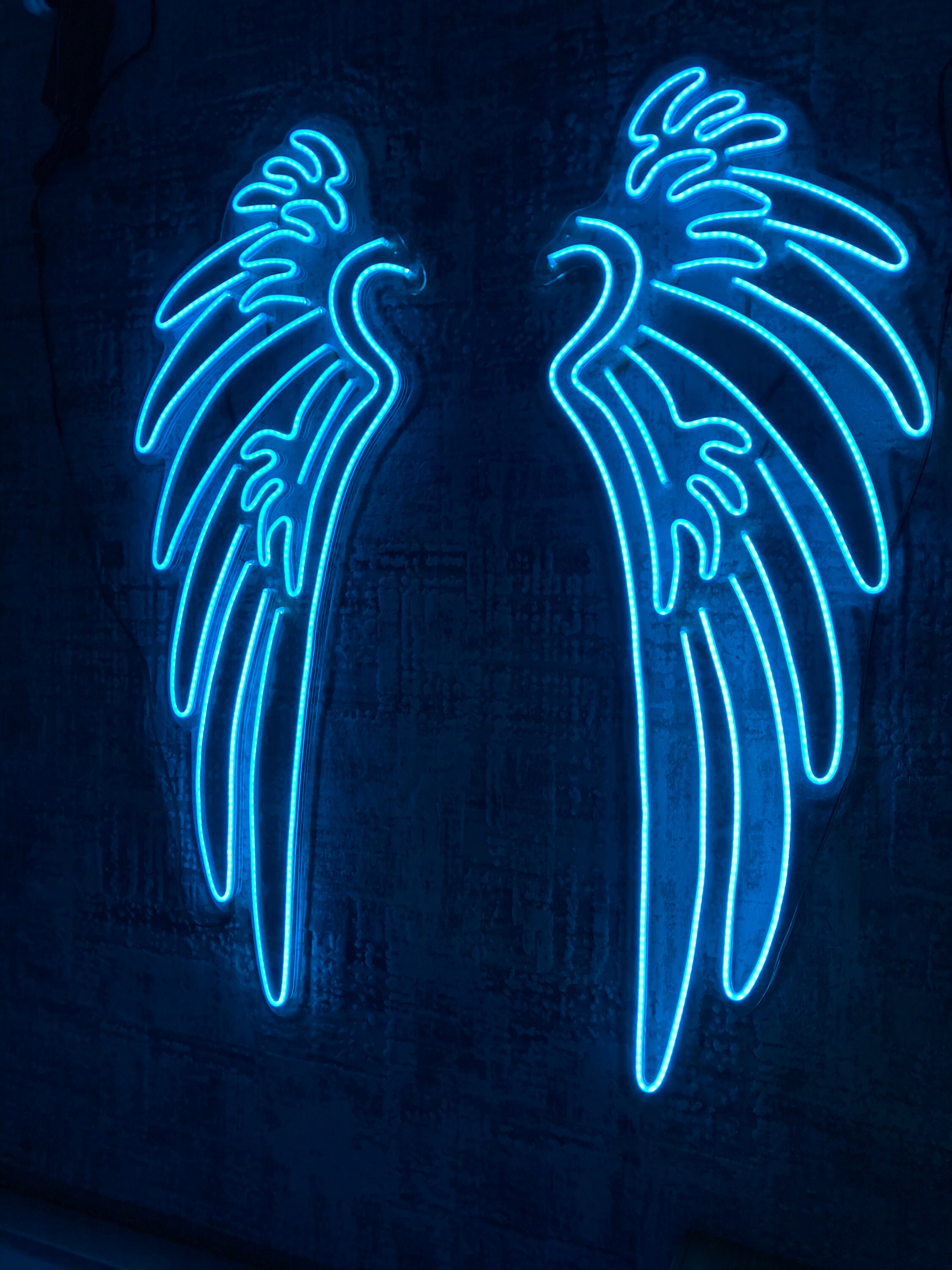 Large Feathered Angel Wing Neon Sign Angel Decor Wing Sign - Etsy