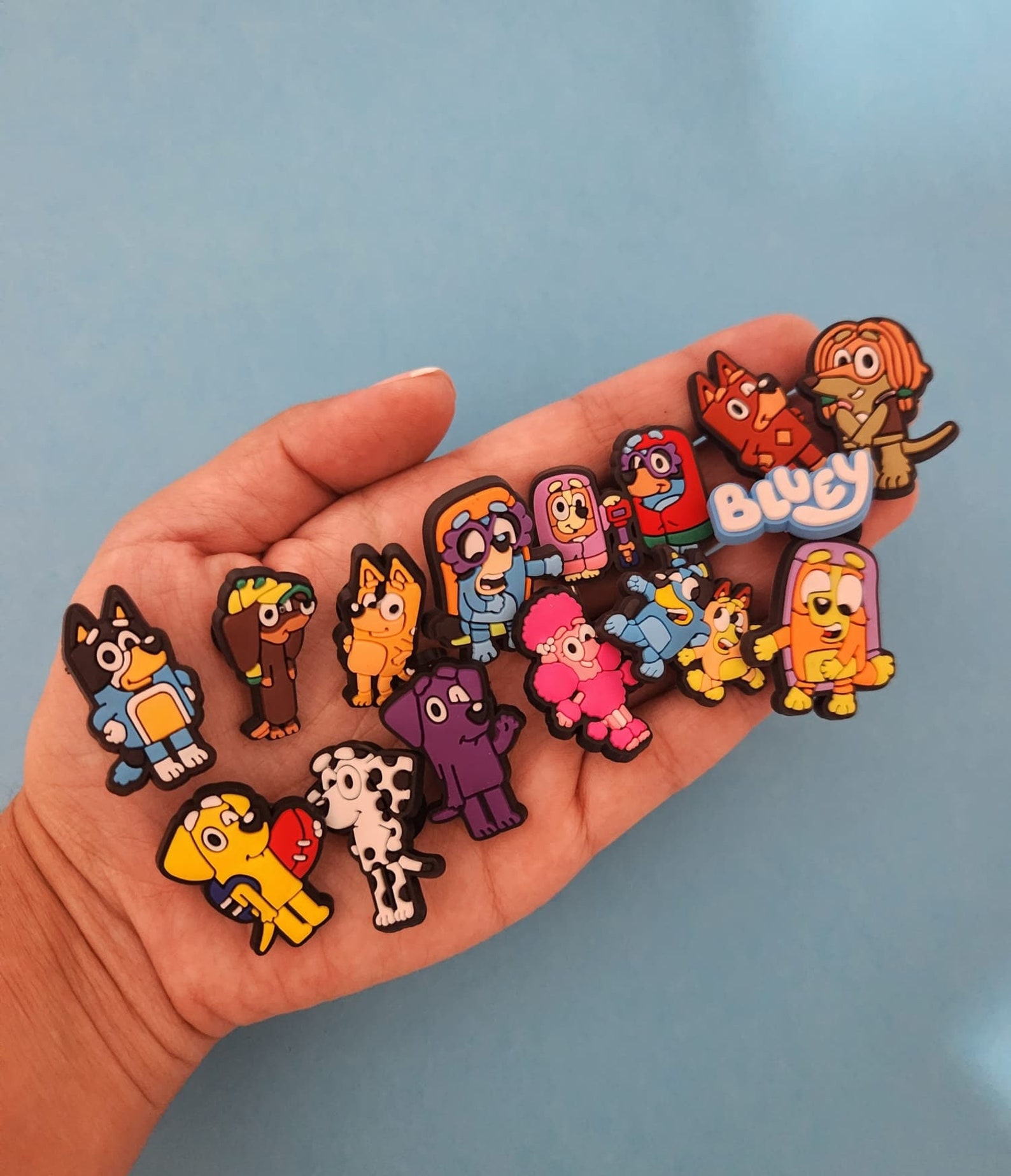 Bluey Birthday, Bluey decoration, Bluey Charms, Shoe Charms, Bluey ...