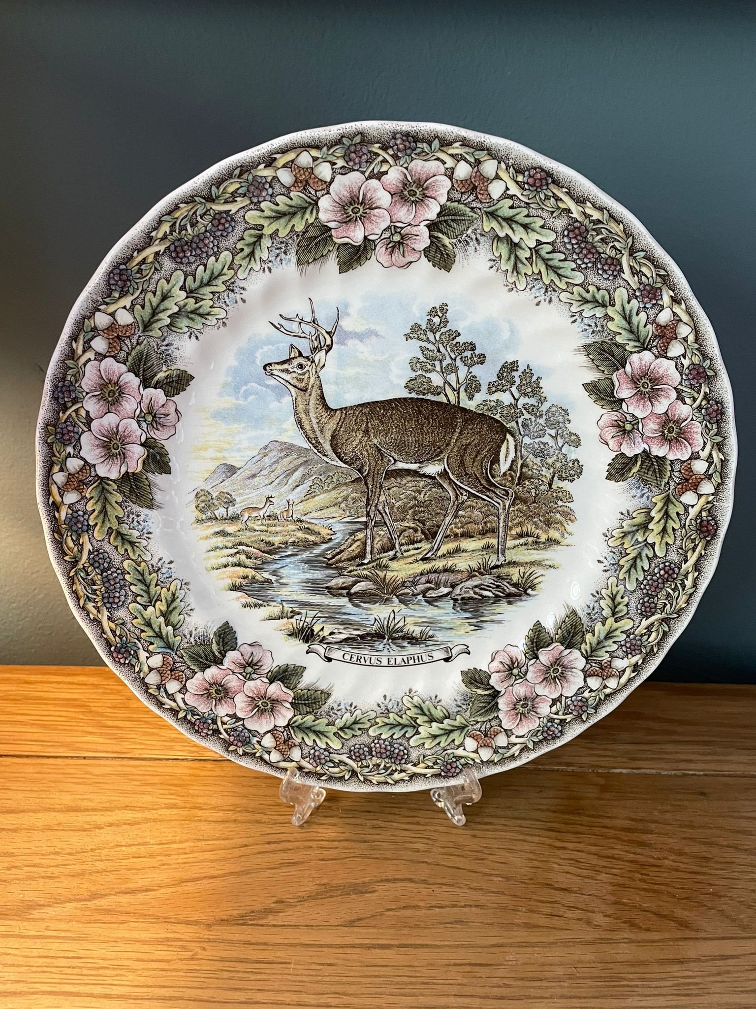 Wildlife Scenes by Churchill Vintage Plate Collectors Plates - Etsy