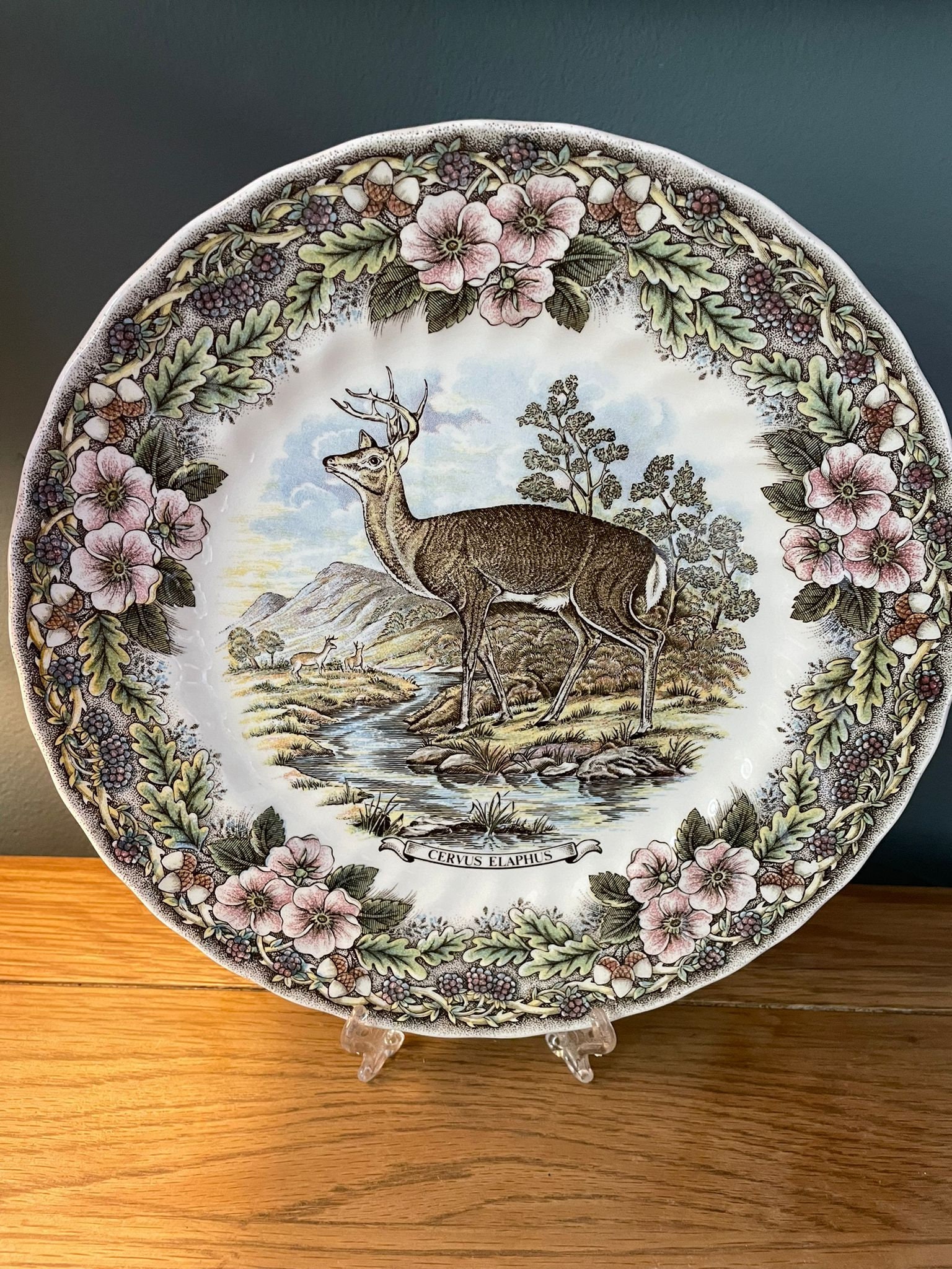 Wildlife Scenes by Churchill Vintage Plate Collectors Plates - Etsy