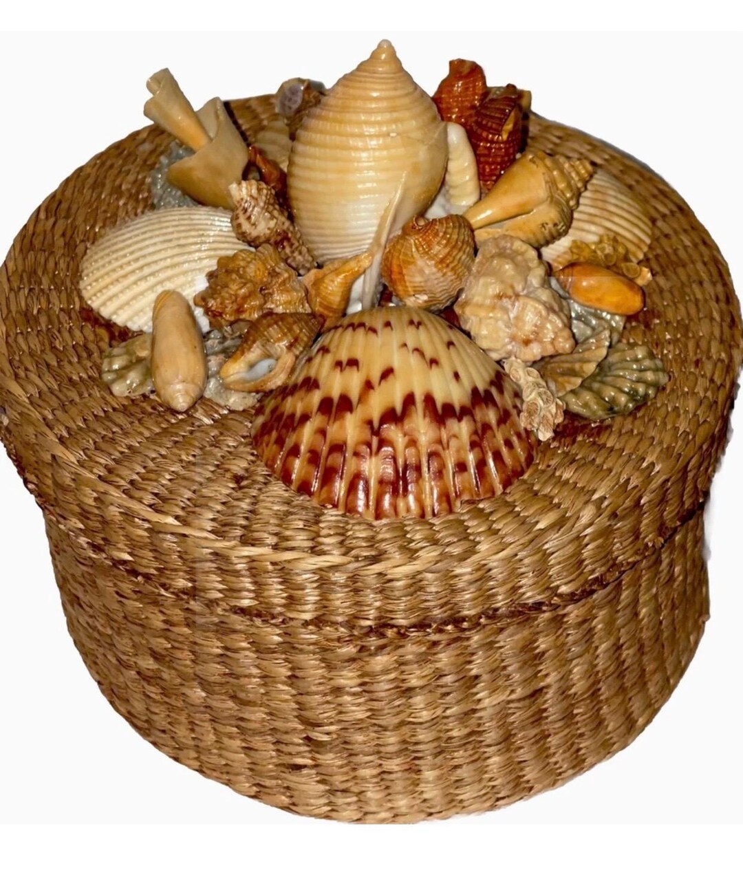Woven Sea Grass Basket Lid Top Beach Seashells Shells - Etsy