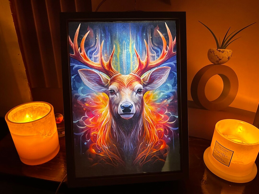 Buck Lighting Picture Frame and Mirror Two in One, Light Art, LED Light ...