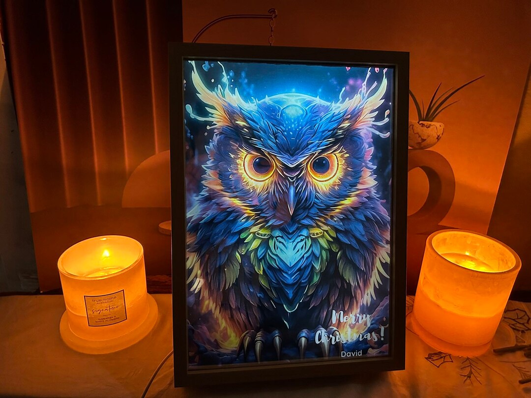 Night Owl Lighting Digital Print Art Frame and Mirror Two in One ...