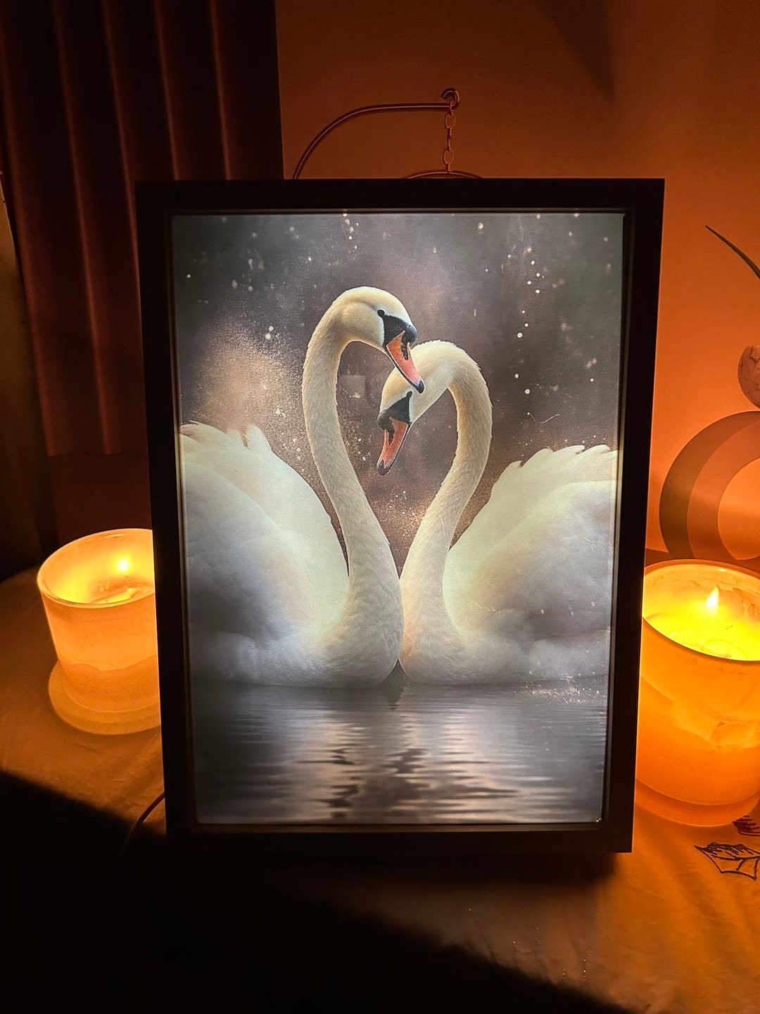 Swan Lighting Picture Frame and Mirror Two in One, Light Art, LED Light ...