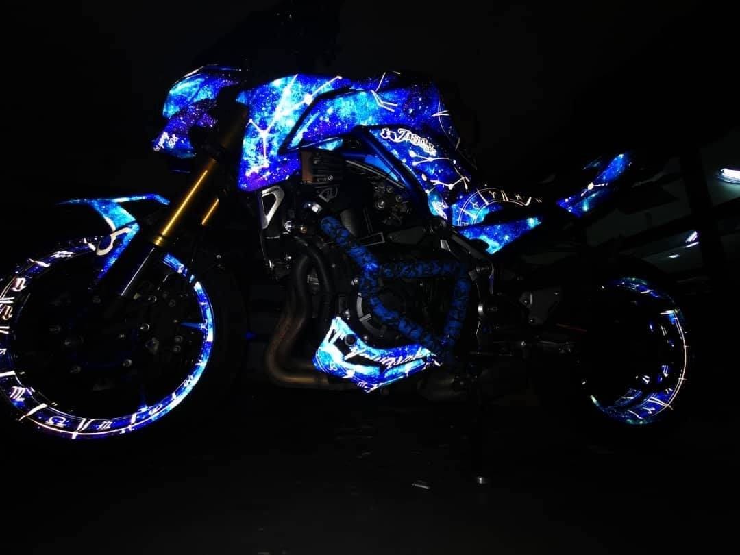 Z900 2021 KAWASAKI REFLECTIVE Full Body Sticker (90-95% Coverage of ...