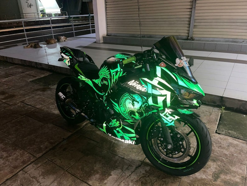 NINJA 400/250 KAWASAKI Reflective Full Body Sticker - Complete Coverset ...