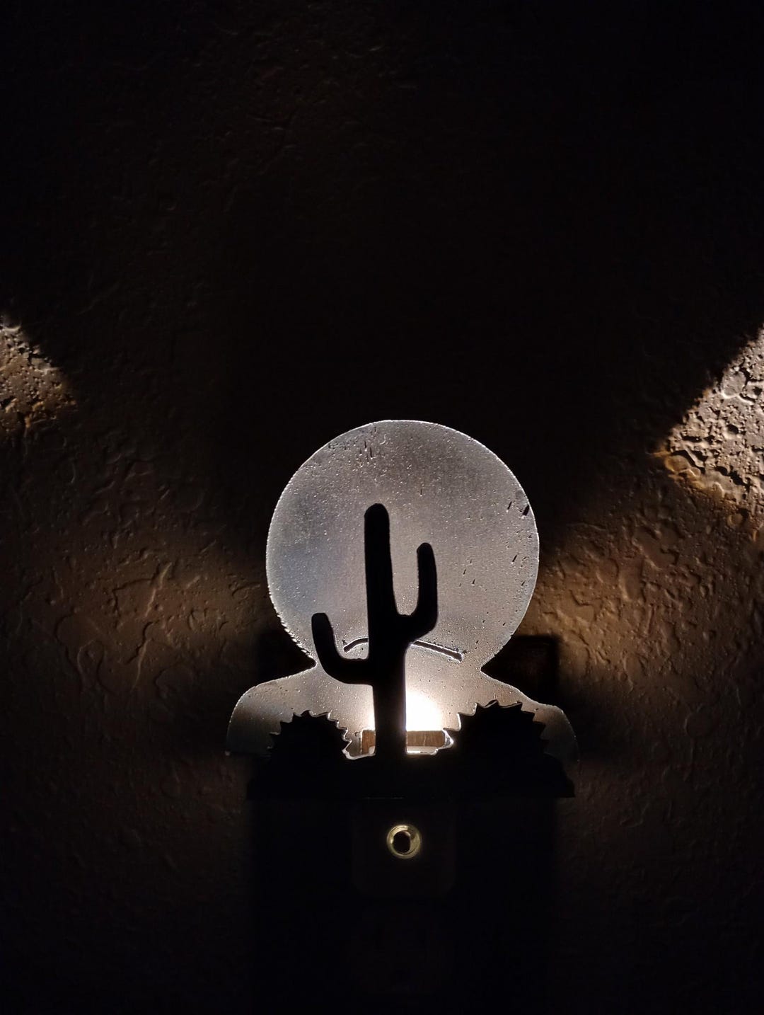 Rustic Cactus Night Light - Etsy