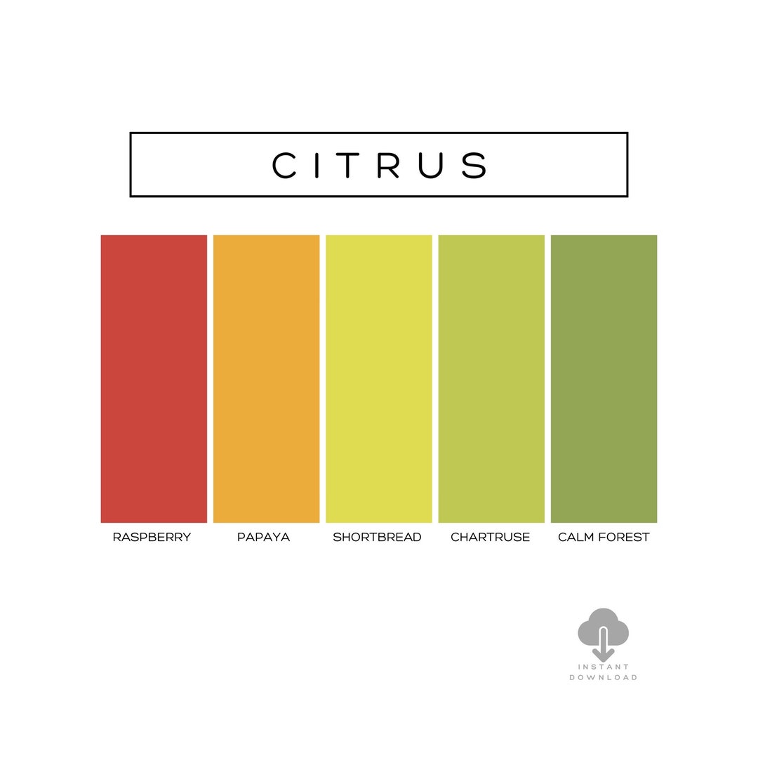 CITRUS COLOUR PALETTE- Sculpey Souffle Polymer Clay 5 Colour Recipes ...