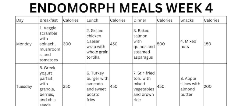 Endomorph Meal Plan PDF Printable | Diet Plan | Breakfast, Lunch ...