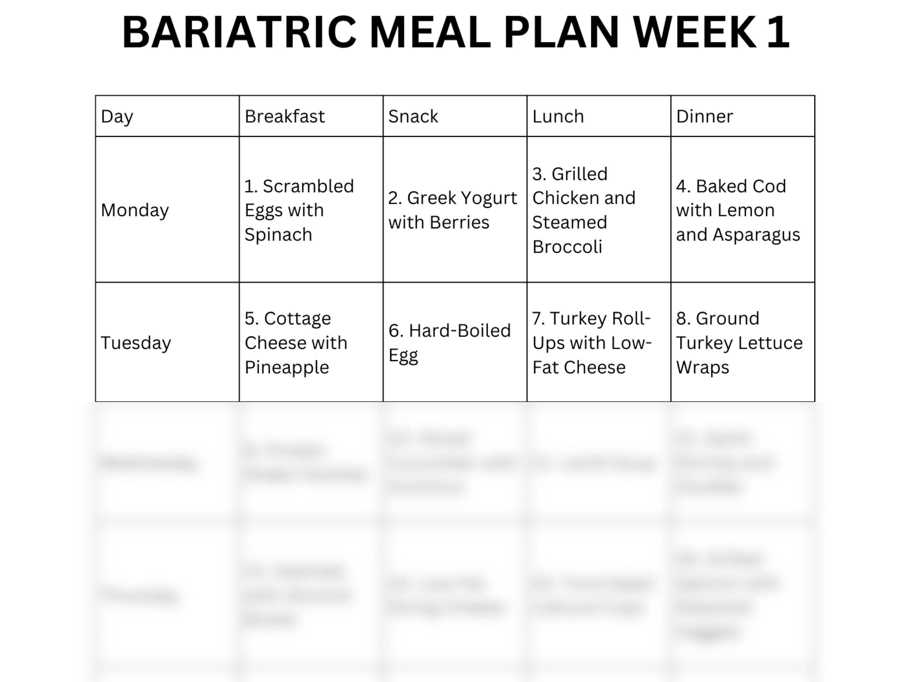 Bariatric Meal Plan Printable, Surgery Diet Menu PDF, 3 Months Simple ...