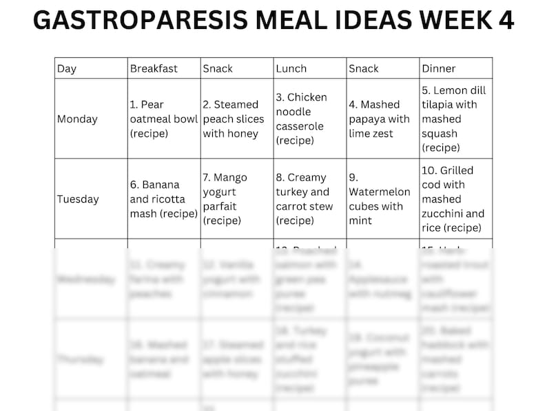 Gastroparesis Meal Plan PDF 3 Month Super Pack | Gastroparesis Recipes ...