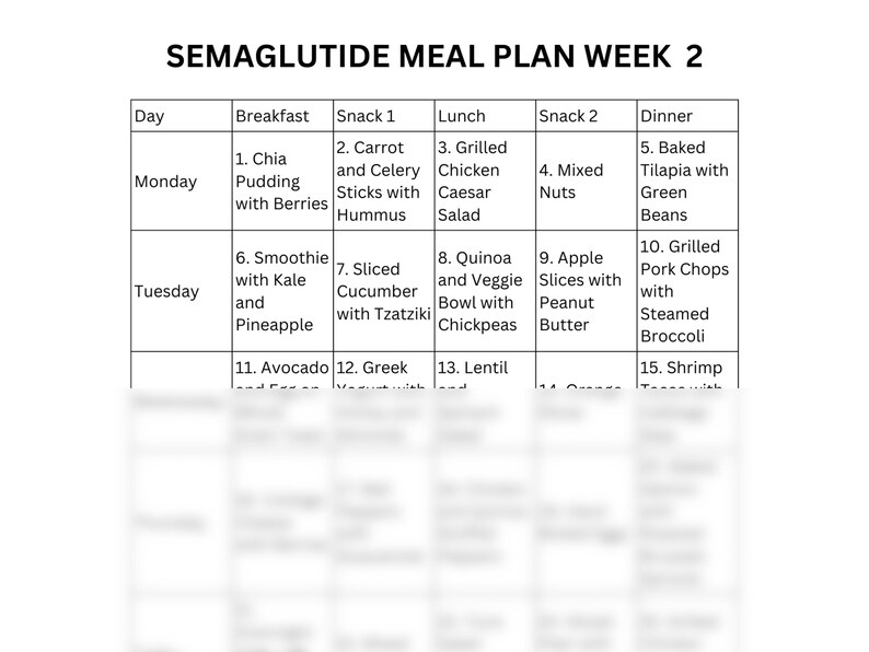 Semaglutide Meal Plan PDF GLP1 Diet Plan Menu | Breakfast, Lunch ...
