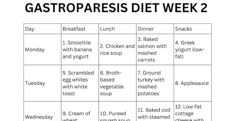 Gastroparesis Meal Plan PDF Gastroparesis Recipes Self Care Diet ...
