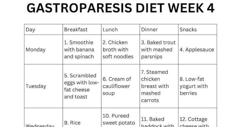 Gastroparesis Meal Plan PDF Gastroparesis Recipes Self Care Diet ...