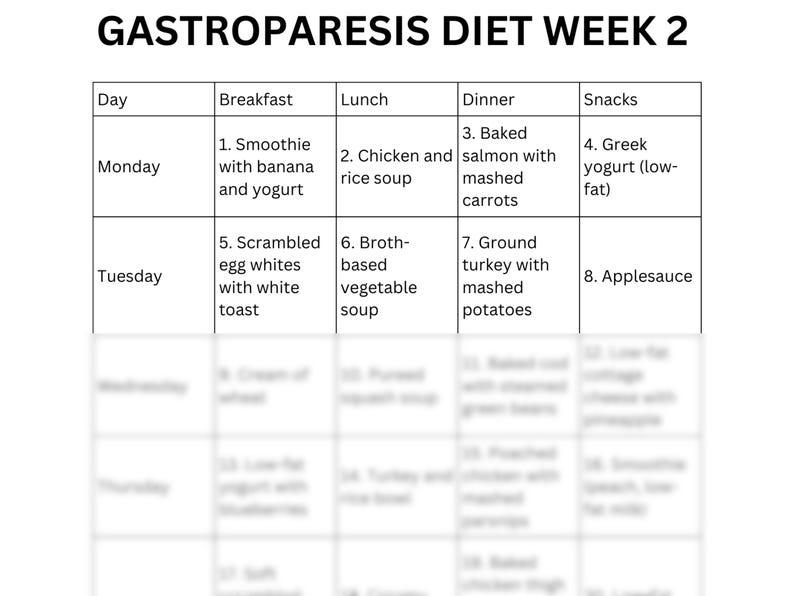 Gastroparesis Meal Plan PDF, Food List Recipe Chart, Breakfast, Lunch ...