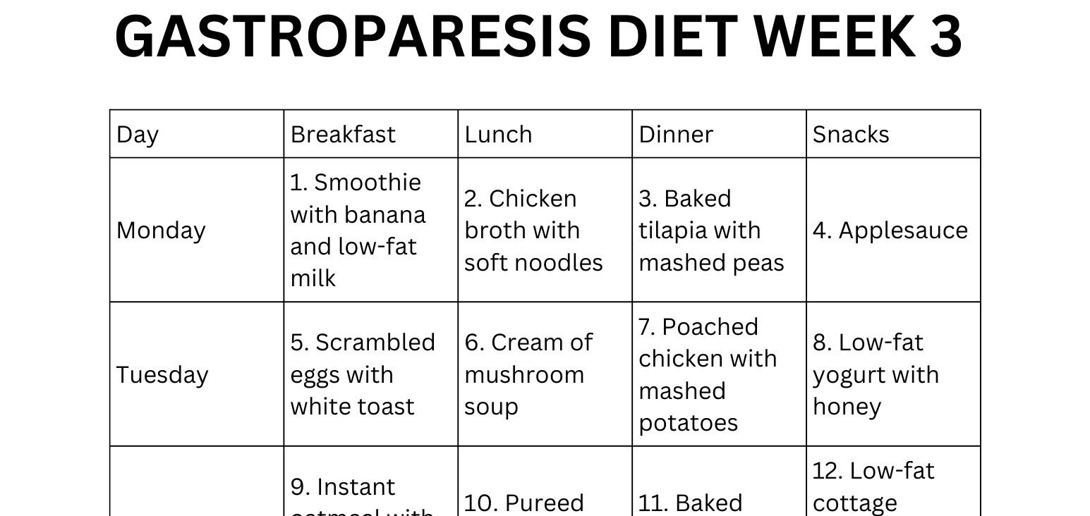 Gastroparesis Meal Plan PDF Gastroparesis Recipes Self Care Diet ...