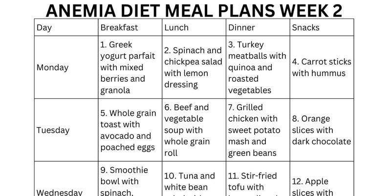 7 Day Anemia Diet Plan One Month 28 Days Meal Plan PDF High Iron Iron ...