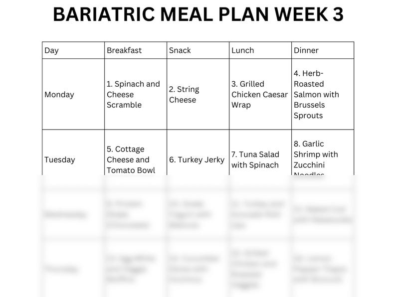 Bariatric Meal Plan Printable, Surgery Diet Menu PDF, 3 Months Simple ...