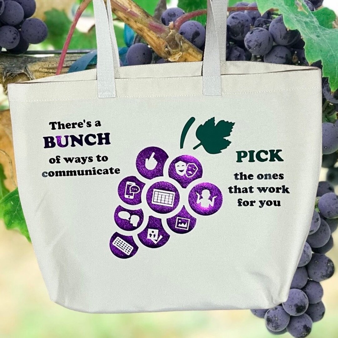 Multimodal Communication Tote Carry Bag and Visual Reminder AAC and ...