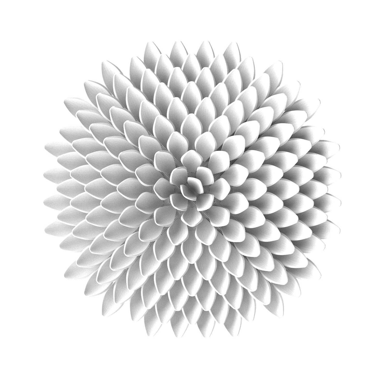 Modern Wall Art - Bloom in Snow White | Eco-friendly Plant-based ...