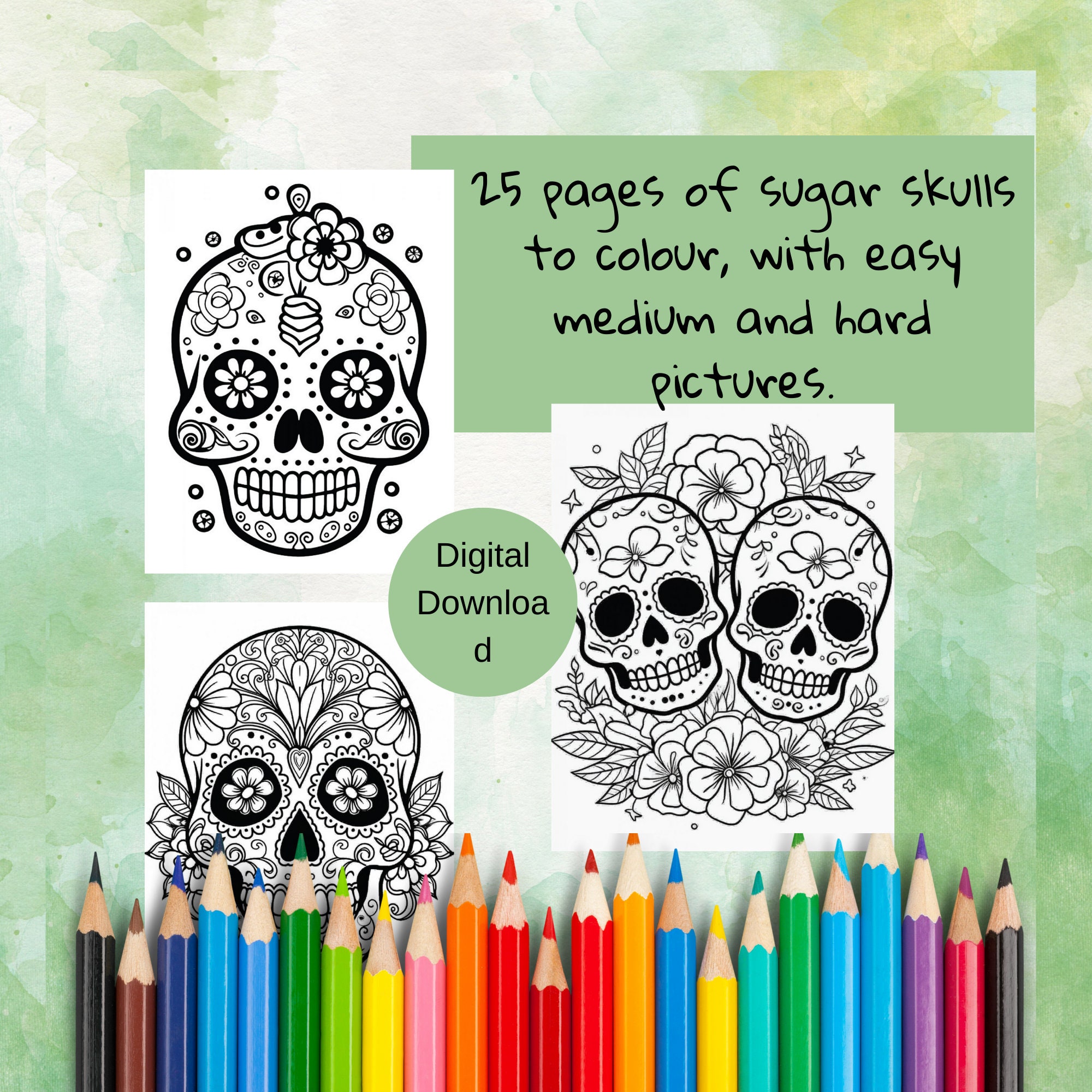 Sugar Skulls Colouring Pages Halloween Sugar Skulls - Etsy